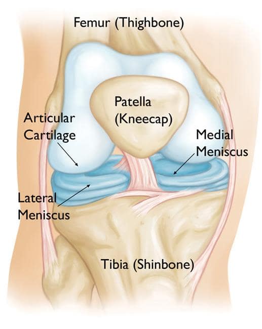 Medial Knee Pain - MMD Chiropractic Health Centre